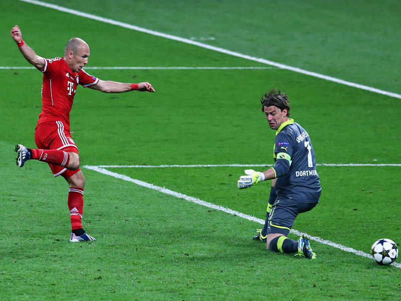 Neven Subotic Robben